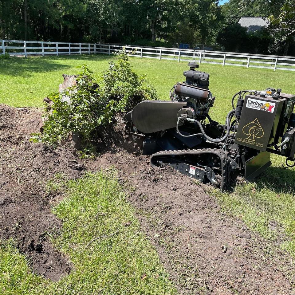 CARLSON TREE AND LAND SERVICES - Updated January 2025 - Charleston ...