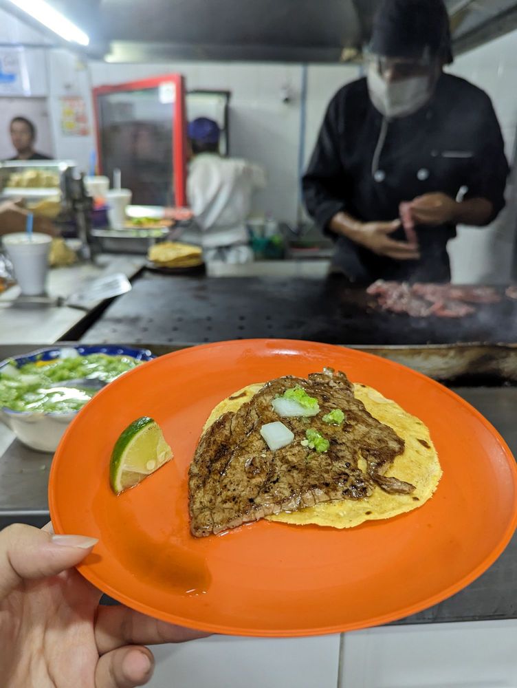 EL CALIFA DE LEÓN - Updated July 2024 - 33 Photos & 23 Reviews - Ribera ...