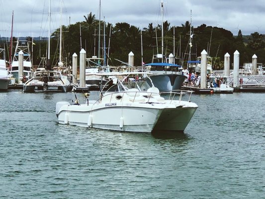 WINDWARD BOATS - Updated September 2025 - 49 Reviews - 789 Kailua Rd ...