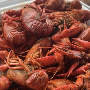 TE’JUN THE TEXAS CAJUN- ROBINSON - 165 Photos & 187 Reviews - 711 N ...