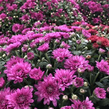 MENARDS - Updated October 2025 - 10 Reviews - 3300 State St, Bismarck ...