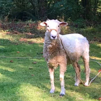 THE BORS HEDE RESTAURANT - Updated August 2025 - 24 Photos & 27 Reviews ...