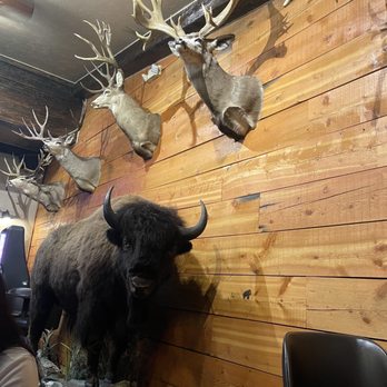 THE BUFFALO BAR - Updated May 2024 - 819 Photos & 806 Reviews - 335 Hwy ...