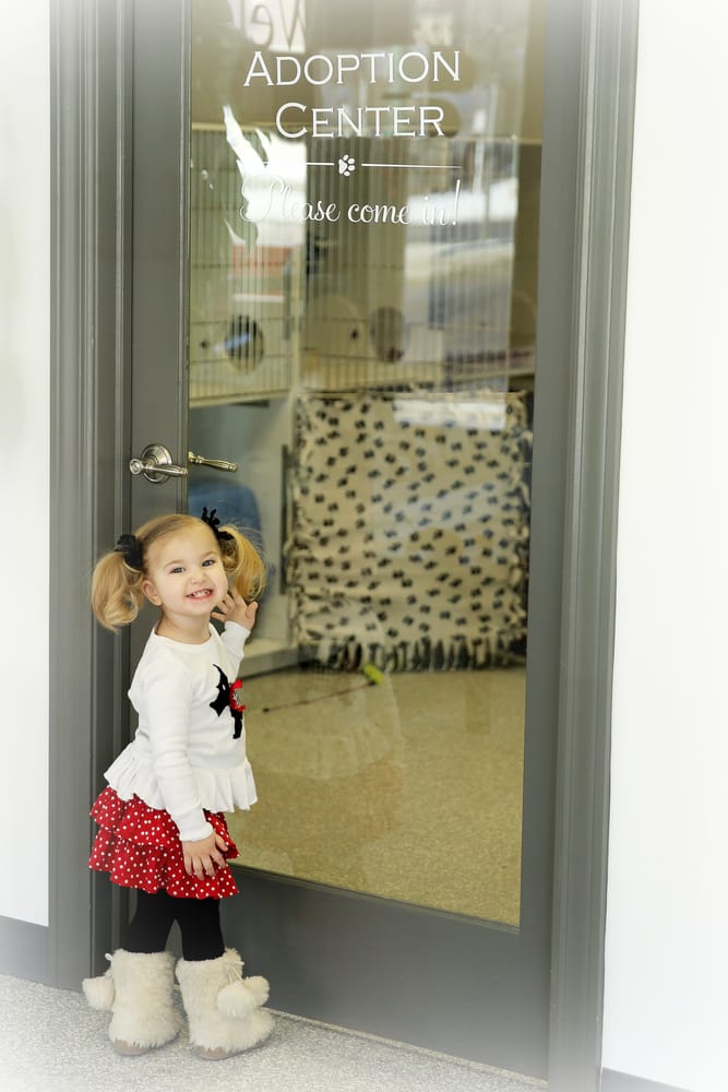 VALUECARE VETERINARY CLINIC - Updated September 2025 - 35 Reviews - 202 ...