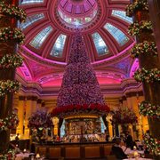 THE DOME - 315 Photos & 165 Reviews - 14 George Street, Edinburgh ...