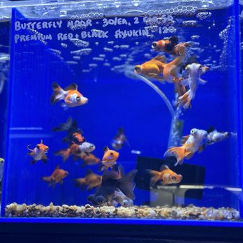 AQUATIC COLLECTION AQUARIUM - Updated December 2025 - 138 Photos & 201 ...
