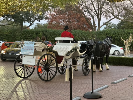 THREEJAYS CARRIAGES - Updated December 2025 - 23 Photos & 43 Reviews ...