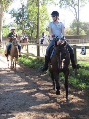 FOREST LAKE RIDING SCHOOL - Updated June 2025 - 19 Greentree Cres ...