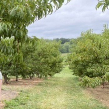 CRANE ORCHARDS - Updated December 2025 - 47 Photos & 39 Reviews - 6054 ...