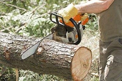 JACK’S TREE SERVICE - Updated April 2026 - 3368 Fraser Rd, Bay City ...