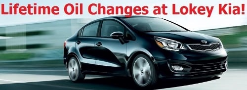 LOKEY KIA - Updated March 2025 - 26 Photos & 127 Reviews - 27960 US Hwy ...