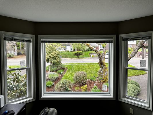 BRIGHTSIDE WINDOWS - Updated January 2025 - 63 Photos & 23 Reviews ...