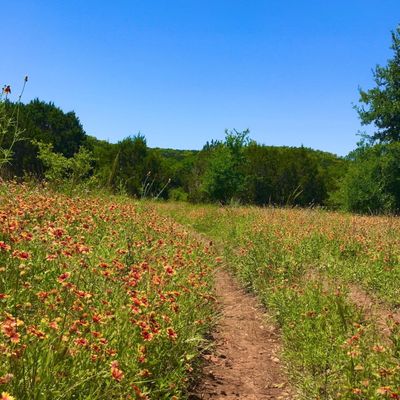 ST EDWARDS PARK - Updated 2024 - 301 Photos & 98 Reviews - 7301 ...