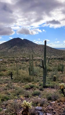 WINTER IN PHOENIX - 22 Photos & 30 Reviews - 85013 Central Ave, Phoenix ...