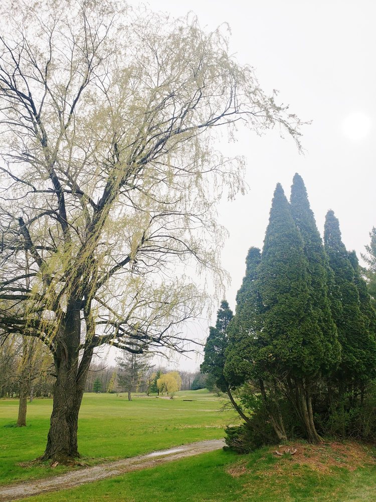 GREEN RIDGE GOLF CLUB - Updated October 2025 - 204 Gregory Dr, Johnson ...