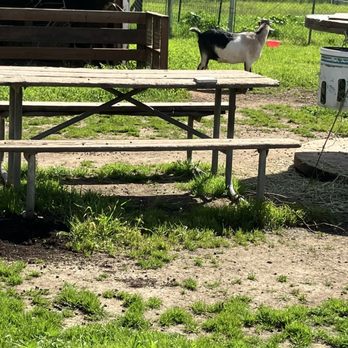 EMMA PRUSCH FARM PARK - Updated November 2024 - 908 Photos & 268 ...