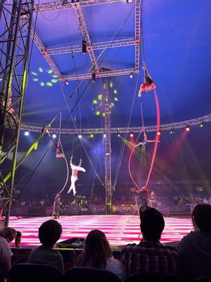 GARDEN BROTHERS CIRCUS | 103 Photos & 376 Reviews | Sarasota, Florida ...