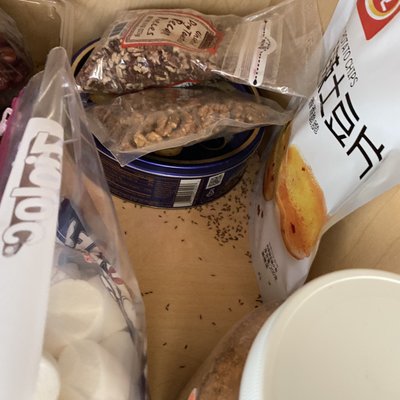 PRO ACTIVE PEST CONTROL - Updated April 2025 - 29 Photos & 209 Reviews ...