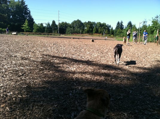 HAZELIA SPORTS FIELD - Updated December 2025 - 17942 Stafford Rd, Lake ...