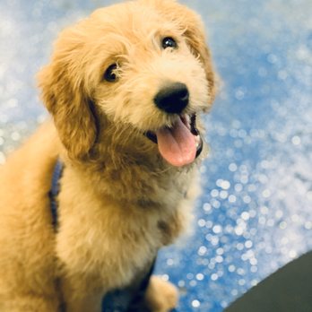 BAY VIEW BARK - Updated July 2025 - 212 Photos & 43 Reviews - 1820 S ...