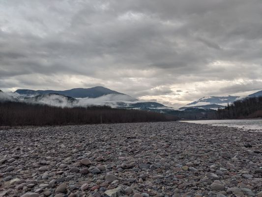 BRACKENDALE EAGLES PROVINCIAL PARK - 17 Photos - Squamish River ...