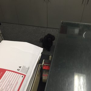 DIGIDIRECT - Updated November 2025 - 166 Adelaide St, Brisbane ...