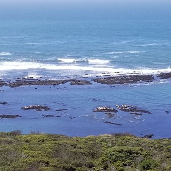 PILLAR POINT BLUFF - Updated July 2024 - 962 Photos & 28 Reviews - West ...