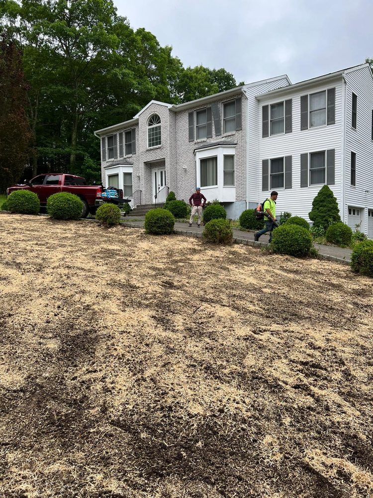 TOBY’S LANDSCAPING - Updated October 2025 - 42 Photos - 67 Lake Ave, Danbury, Connecticut ...