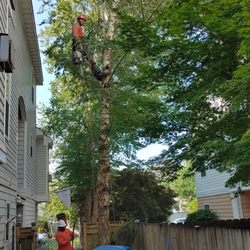 TARZAN TREE SERVICE - 15 Photos & 11 Reviews - Tree Services - 421 ...