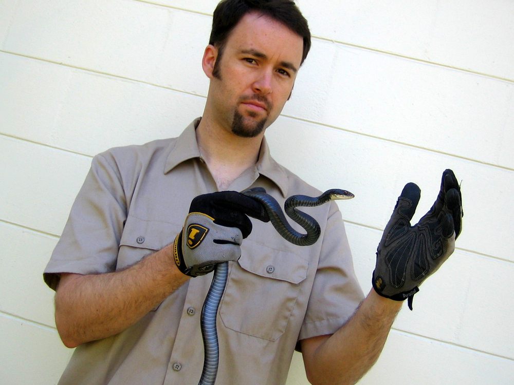 PEST ANIMAL ALBANY - 25 Photos - Albany, New York - Pest Control ...