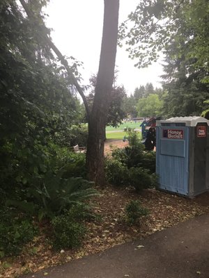 ROBINSWOOD PARK - 23 Photos & 34 Reviews - Parks - 2430 148th Ave SE ...