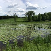 SHAW NATURE RESERVE - 101 Photos & 18 Reviews - 307 Pinetum Loop Rd ...