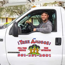 THE TREE AMIGOS - 33 Photos & 11 Reviews - Tree Services - 447 Santa ...