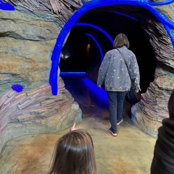 THE RABBIT HOLE - Updated June 2025 - 240 Photos & 32 Reviews - 919 E ...