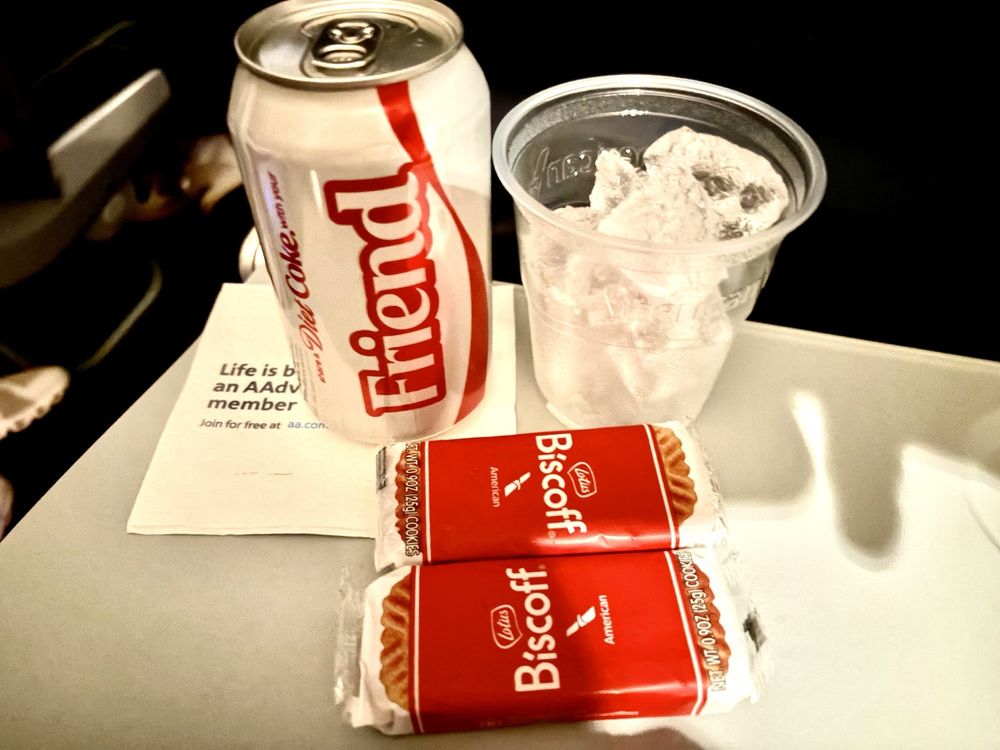 AMERICAN AIRLINES - Updated September 2025 - 14 Photos & 37 Reviews ...