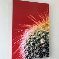 BUTURA ORAL AND DENTAL IMPLANT SURGERY - 40 Photos & 48 Reviews - 1277 ...