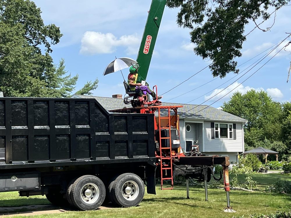 GREY HAT TREE SERVICE AND LANDSCAPING - Updated December 2025 - Seekonk ...