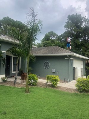 HUGHES EXTERMINATORS - Updated October 2025 - 28 Reviews - 989 Tamiami ...