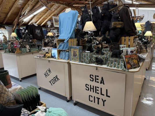 SEA SHELL CITY - Updated October 2025 - 97 Photos & 28 Reviews - 7075 ...