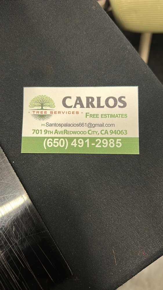 CARLOS TREE SERVICES - Updated August 2025 - Request a Quote - 18 ...