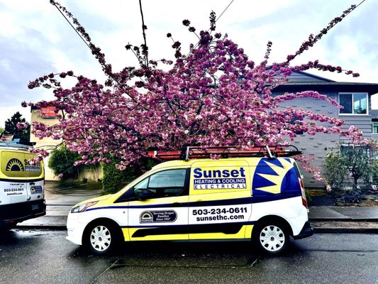 SUNSET HEATING & COOLING - Updated December 2025 - 37 Photos & 195 ...