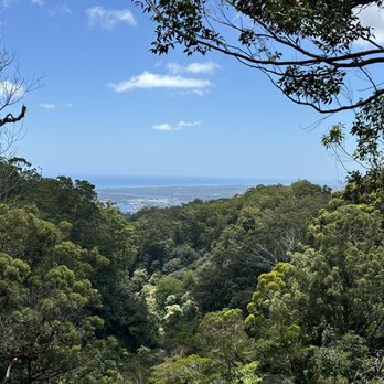 AIEA LOOP TRAIL - Updated December 2025 - 1457 Photos & 320 Reviews ...