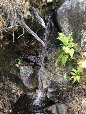 FULLER LAKE - Updated December 2025 - 23 Photos - Nevada City ...