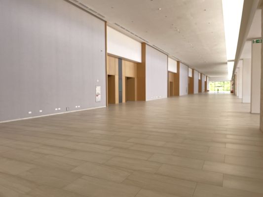 BARCELÓ MAYA ARENA CONVENTION CENTER - Updated June 2024 - 12 Photos ...