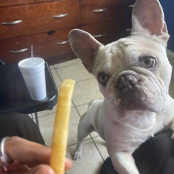 MGM BURGERS - Updated October 2024 - 37 Photos & 120 Reviews - 1691 ...