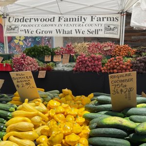 SATICOY BERRY FARMS - Updated February 2025 - 167 Lambert St, Oxnard ...