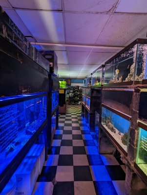 THE FISH PLACE - Updated August 2025 - 128 Photos & 82 Reviews - 141 ...