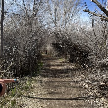 OXBOW NATURE STUDY AREA - Updated December 2025 - 139 Photos & 28 ...