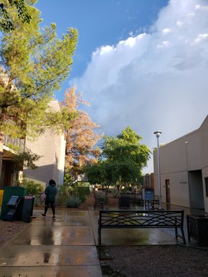 GLENDALE COMMUNITY COLLEGE - Updated December 2025 - 41 Photos & 44 ...