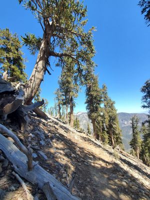 GRIFFITH PEAK TRAIL - Updated July 2024 - 121 Photos - 1208 Cathedral ...